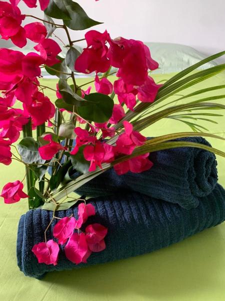 Les Villas Du Bambou - Villa Cosy - Guadeloupe