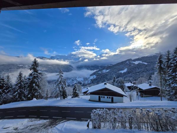 Au Cœur Des Pistes - Les Houches