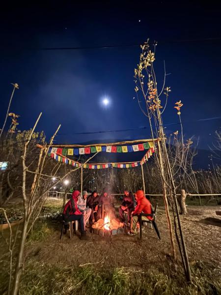 Basecamp Manali - Manali