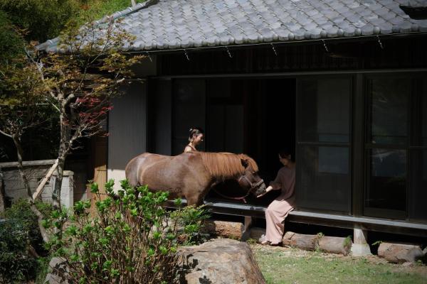 宿と馬 Miru House - Nara