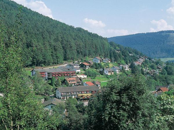 Hotel Waldlust - Freudenstadt