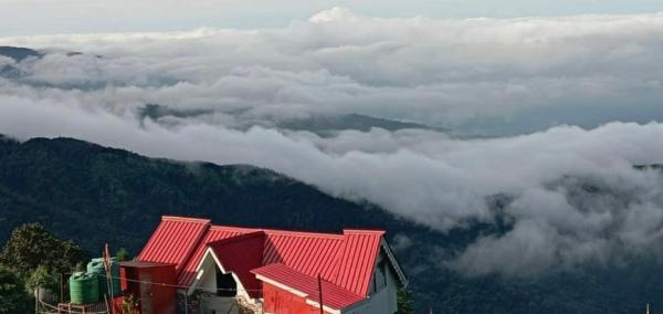 Mist & Dew Homestay - Darjeeling