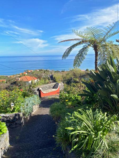 Quinta Das Hortênsias - Madeira