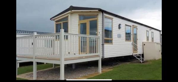 Stellas Dream - Yorkshire