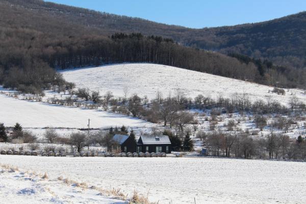 Endless Meadow House - Hobart, NY