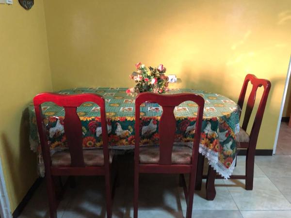 Logerthine Studio Suriname - Suriname