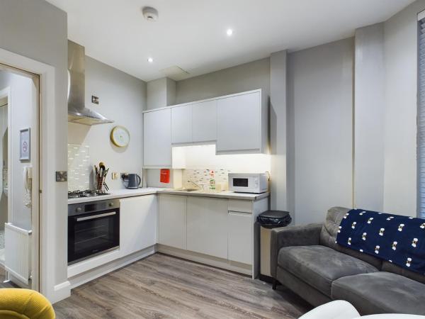 1 Bed Apartment South Belfast - Belfast