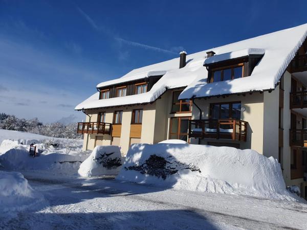 Residenz Am See - Fewo 1 Und Fewo 3 - Titisee-Neustadt