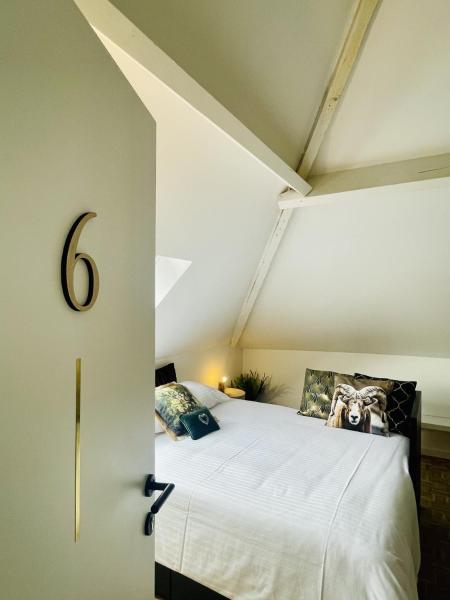 Maison Nelle Botanique - Moose Mountain - Mechelen