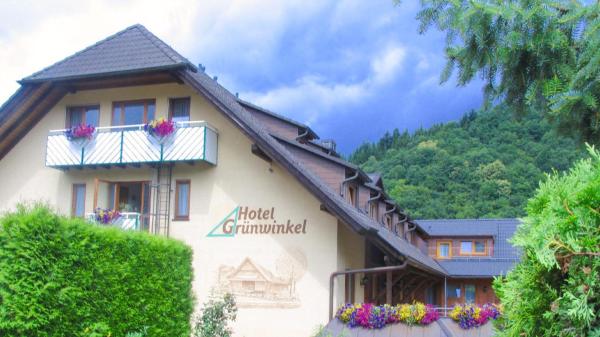 Hotel Grünwinkel - Black Forest
