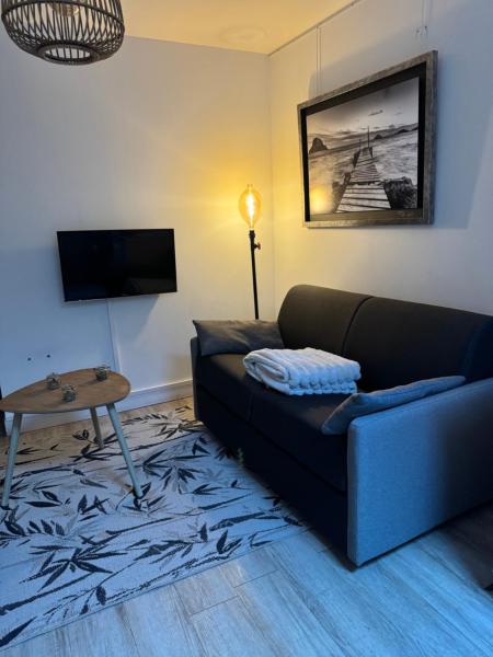 Appartement Cosy Face à La Basilique Saint Remi - Reims