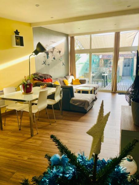 Villa Petit Charles - Cdg Paris Airport - Parc Asterix - Extra Shuttle - Roissy-en-France