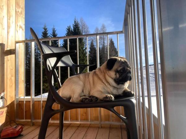 Sonnenalpe Nassfeld Allegra Joy - Nassfeld