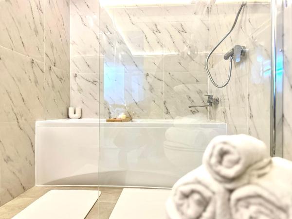 Ground Floor Apt With A Pool And Terrace - Maribor