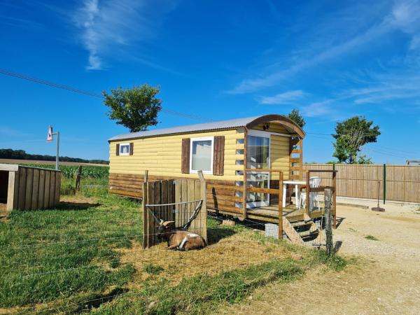 Roulotte Bohème Confortable à La Ferme Pédagogique Près De Nancy - Fr-1-584-365 - Nancy