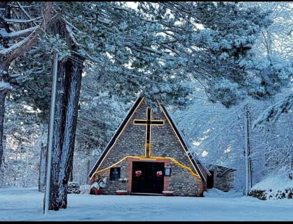 Pungitopo - Calabria