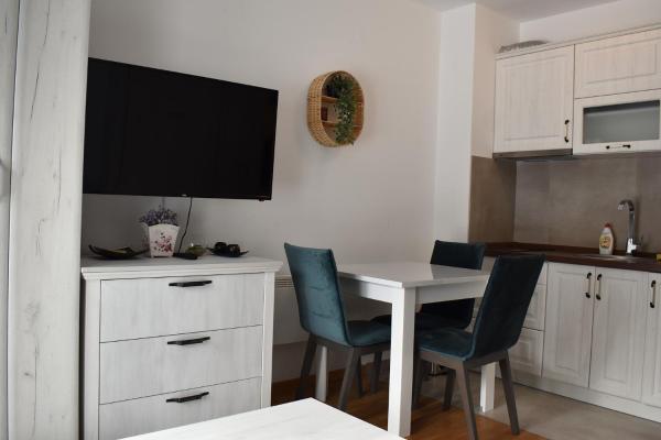 Vila Irina Kopaonik - Apartman Jovana - Kopaonik