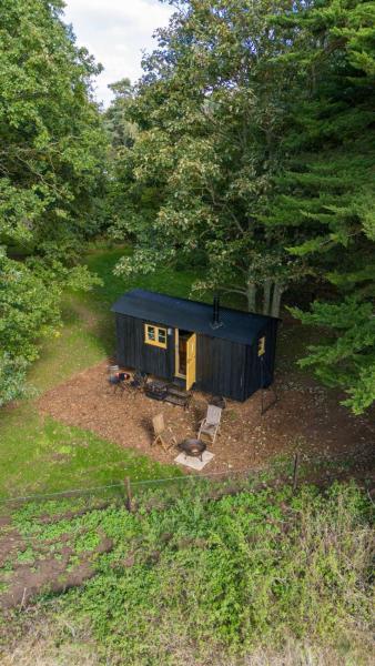 Secret Paddock Shepherds Hut - Suffolk