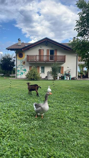 Agriturismo Girasole - Molveno