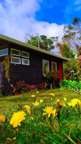 Finca La Picuda Quetzal Cottage - Costa Rica