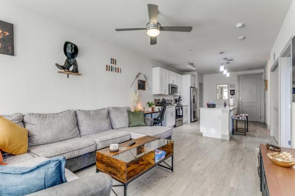 San Antonio Tx Condo On Riverwalk W King Ste,pets - San Antonio, TX