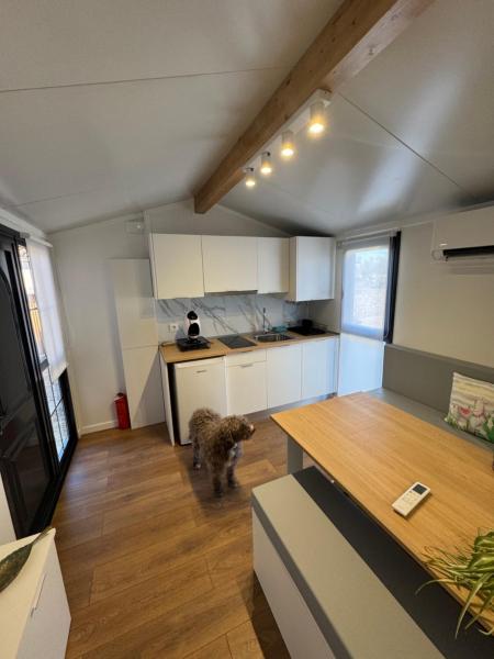 El Descanso De Eros - Fermoselle