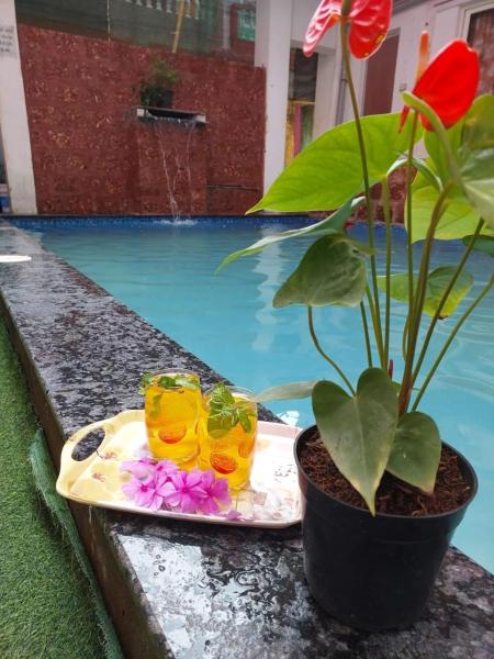 Hotel Queen Queen Sea - Goa
