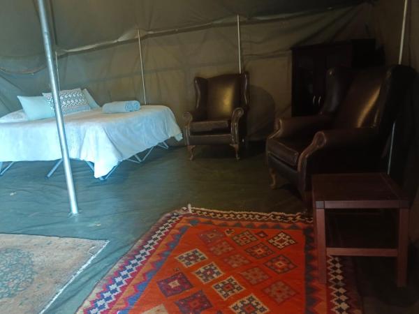 Tent With A Difference - Wilderness