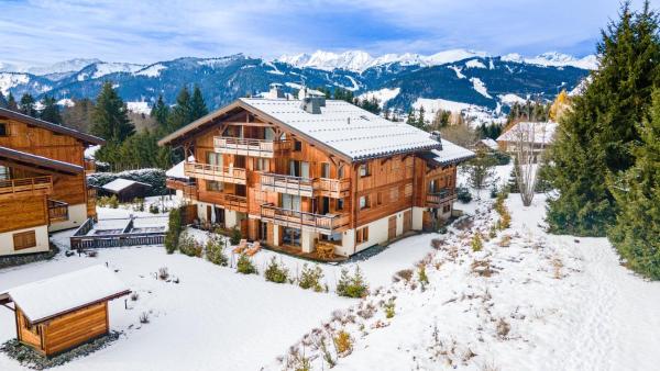 3 Bedrooms Apartment With Garden, Gym And Shared Spa - Sallanches