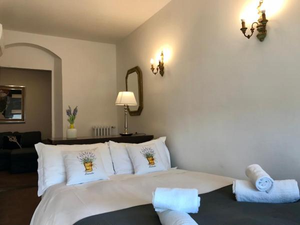 Palace Top Lovely City View And Private Parking - Florenz