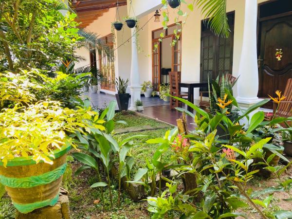 Fairview Dill Homestay - Sri Lanka