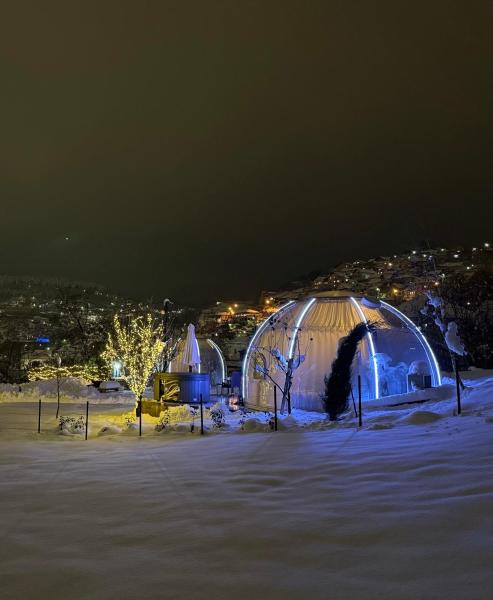 Igloo Glamping Dome Sarajevo - Saraybosna