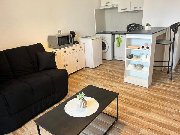 Joli Studio Cabine 28m2 à 300m De La Mer - Canet-en-Roussillon