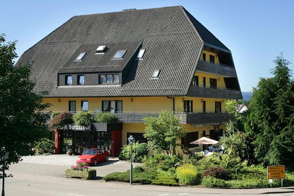 Hotel Sonne - Hausach
