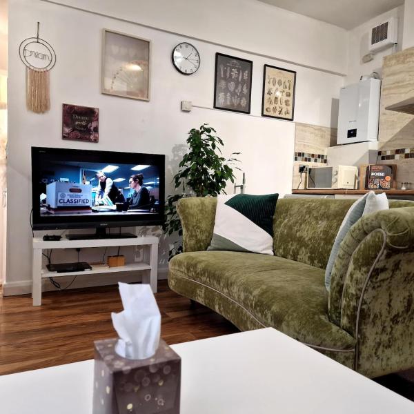 Bright 1 Bedroom Apartment In Central London - Hertfordshire