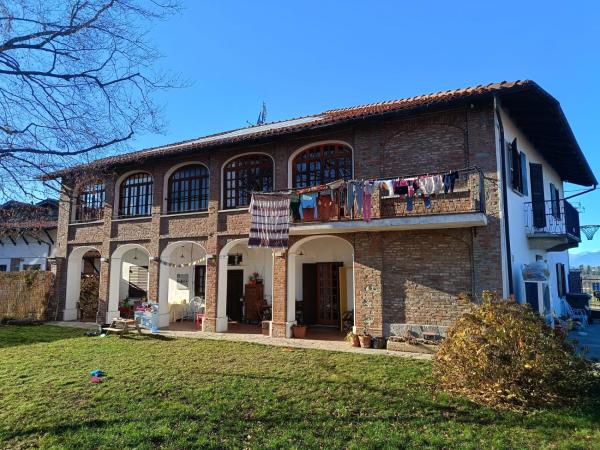 Bugygattolo - Coni