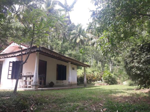 Cinnamon Garden - Mirissa