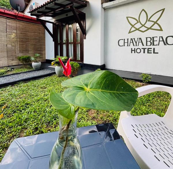 Chaya Beach Hotel,tangalle - Sri Lanka