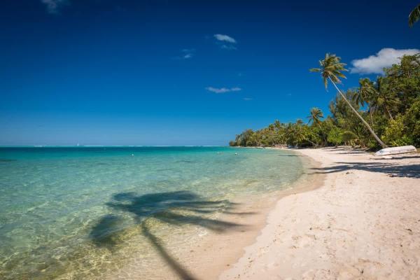 Fare Ariitea - Bora-Bora