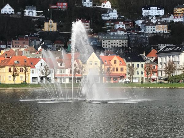 Lake View Apartment In Center Of Bergen - 3 Bedrooms - Bergen