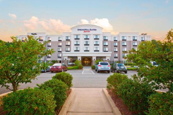 Springhill Suites Pittsburgh Mills - Freeport, PA