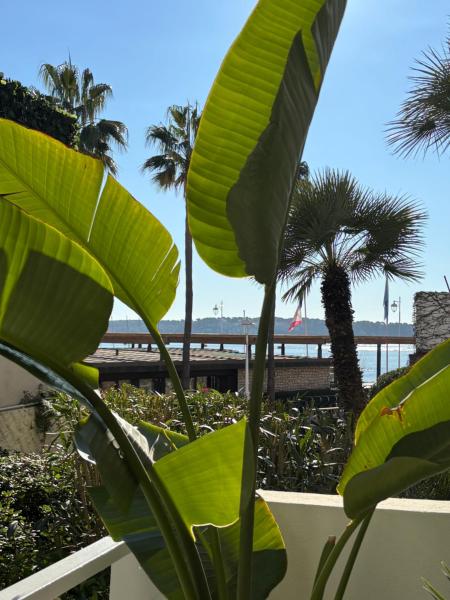 Palm Beach Front De Mer - Cannes