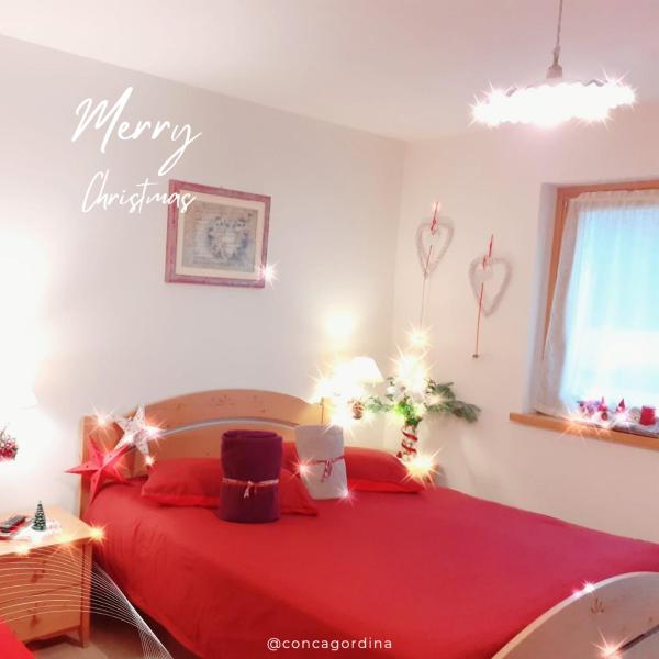 Camere Nordest Sudest- Conca Agordina - Agordo