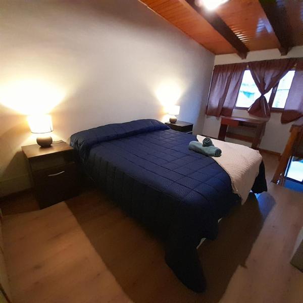 Diuca - San Carlos de Bariloche