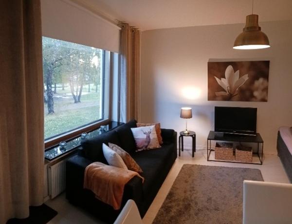 Studio Apartment 31m2 - 로바니에미