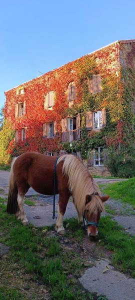 Le Moulin De Vaux - La Clayette