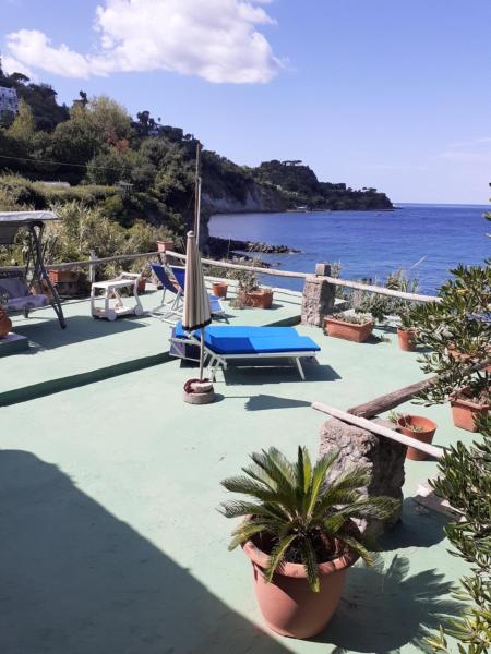 Casa Sul Mare 1 - Ischia Porto