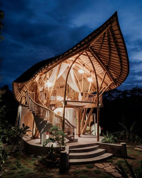 Wiwaka Harmony In Nature - Sidemen