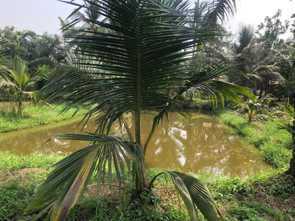 Badnas Agro Tour - Bénin