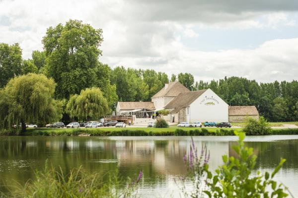 L'ile Chaumette - Chalon-sur-Saône